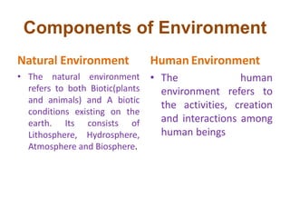 Our NAtural Environment | PPTX