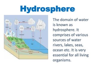 Our NAtural Environment | PPTX