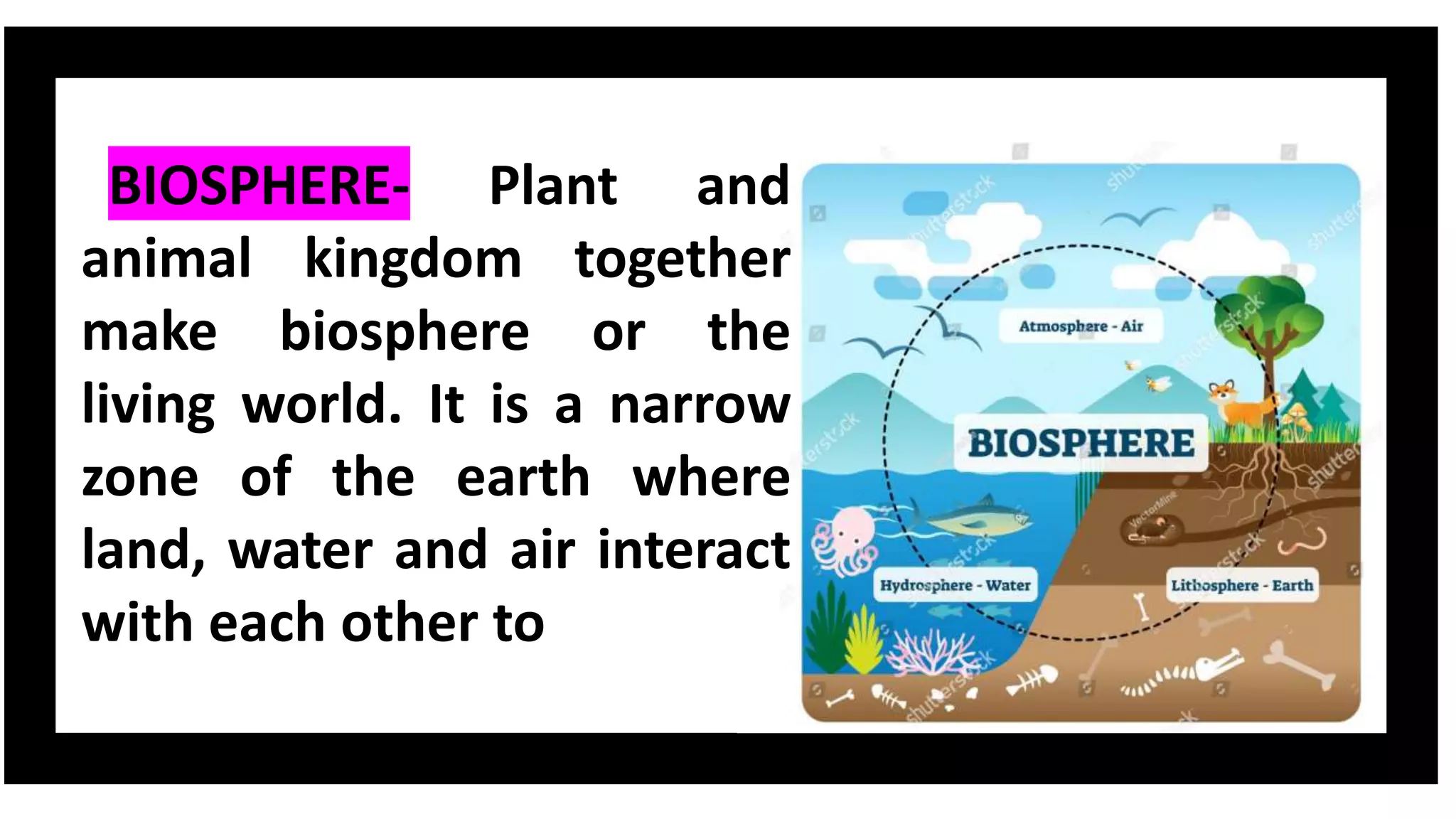 Class 7th geography environment-lesson 1 | PPTX