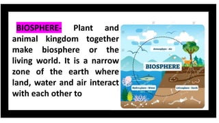 Class 7th geography environment-lesson 1 | PPTX