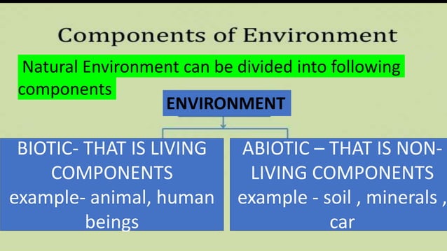 Class 7th geography environment-lesson 1 | PPTX