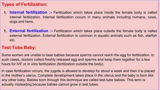 Class 8 - Chapter 12 Reproduction in Animals.pptx