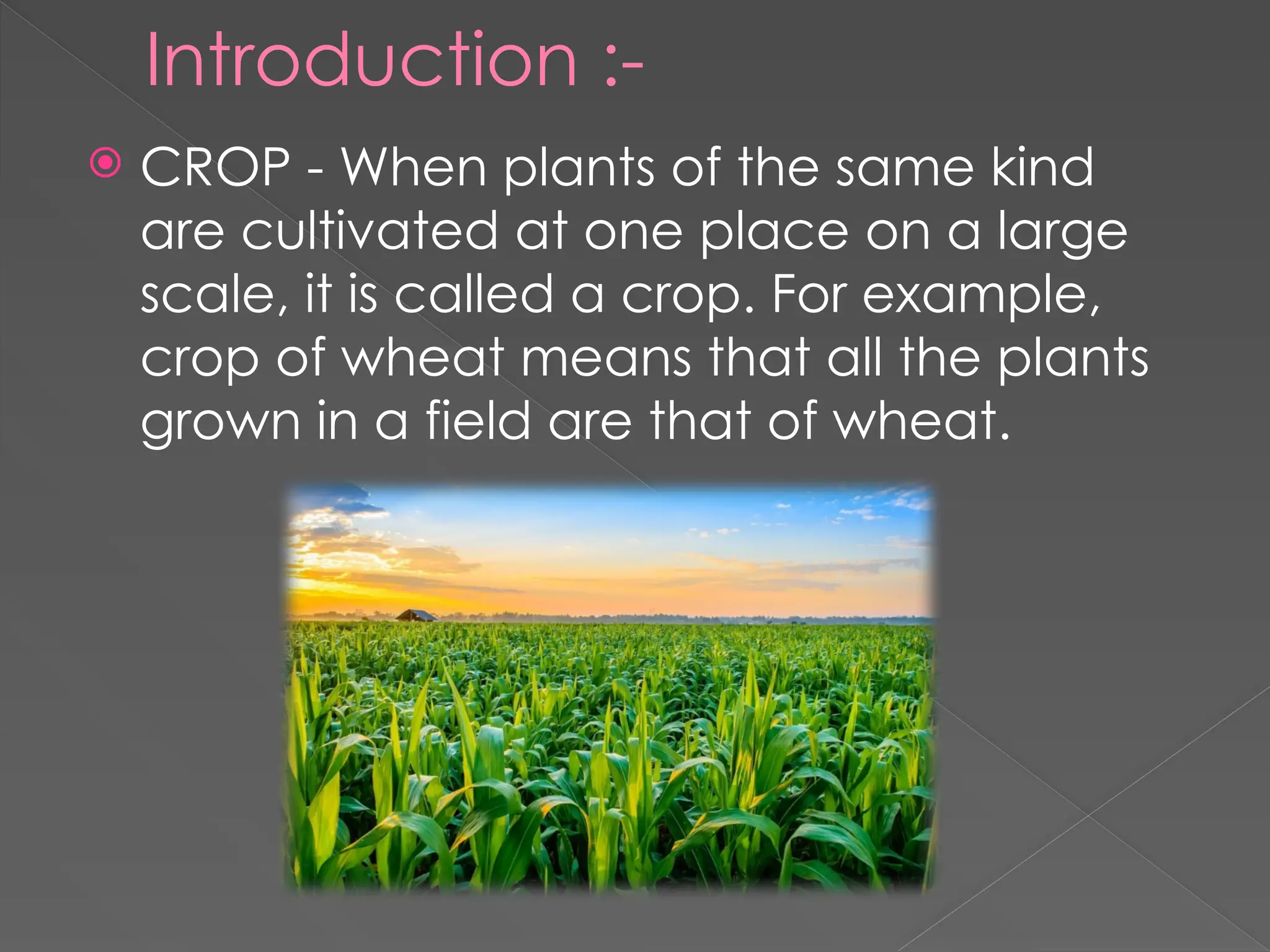 Class 8 - Science project term1 - 1.pptx