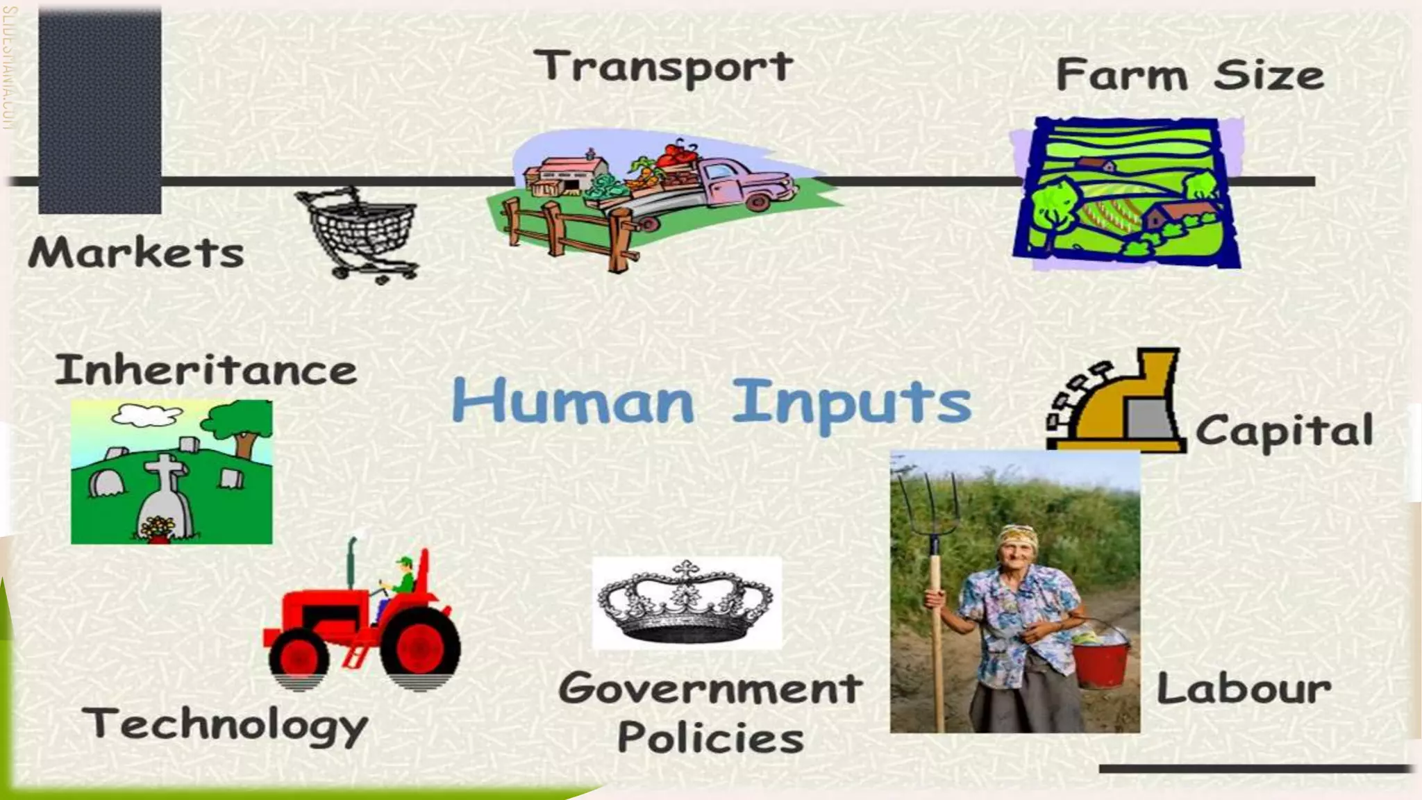 Class 8 Agriculture updated.pptx