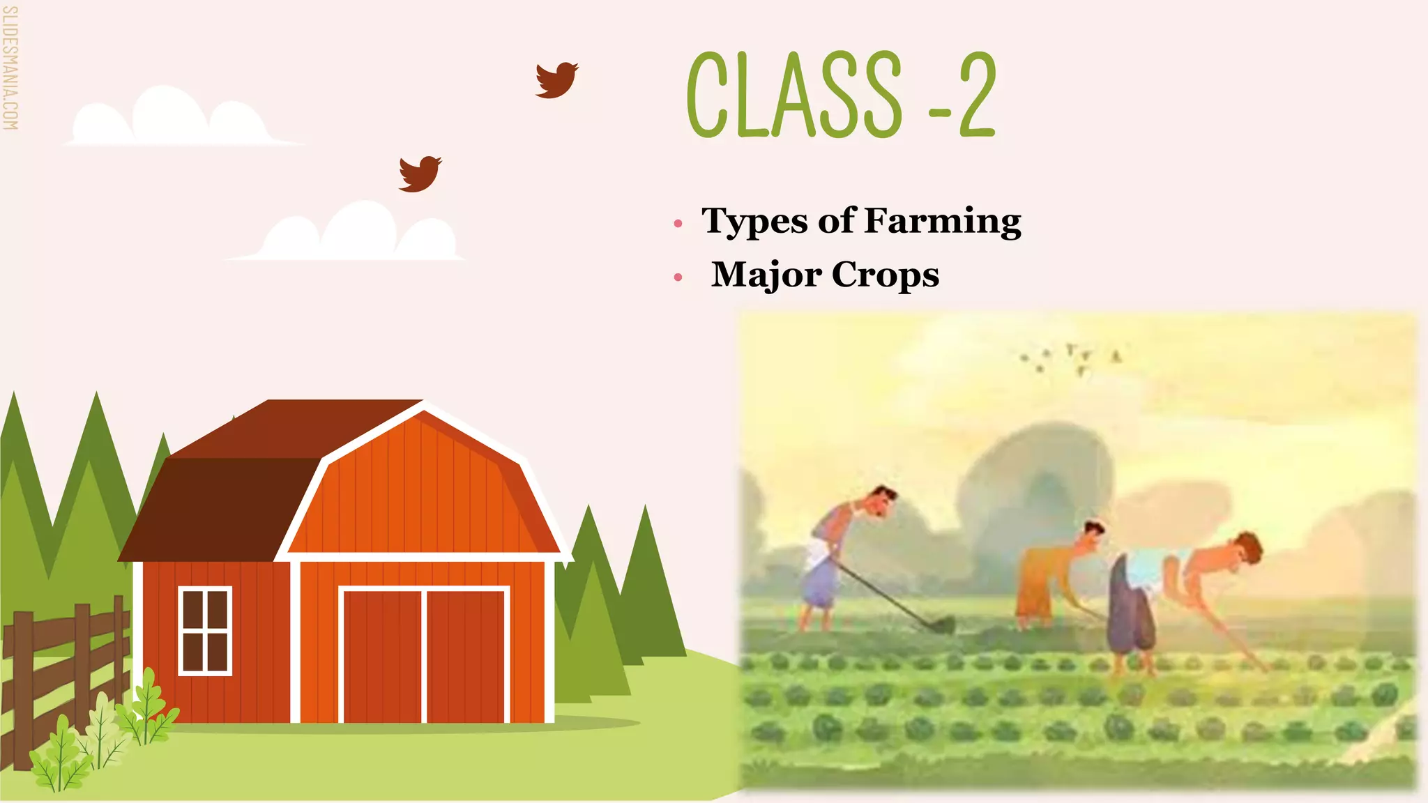 Class 8 Agriculture updated.pptx