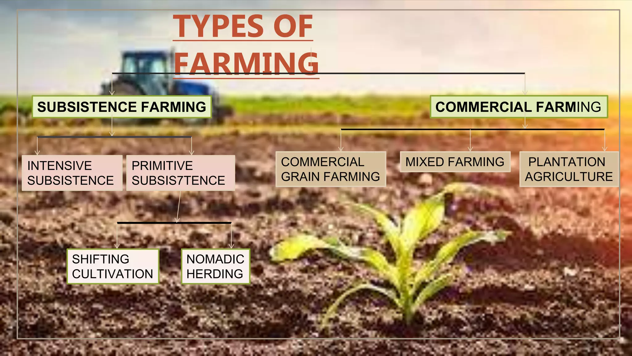 Class 8 Agriculture updated.pptx