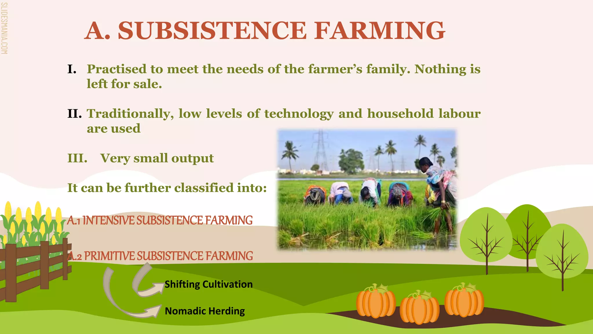 Class 8 Agriculture updated.pptx