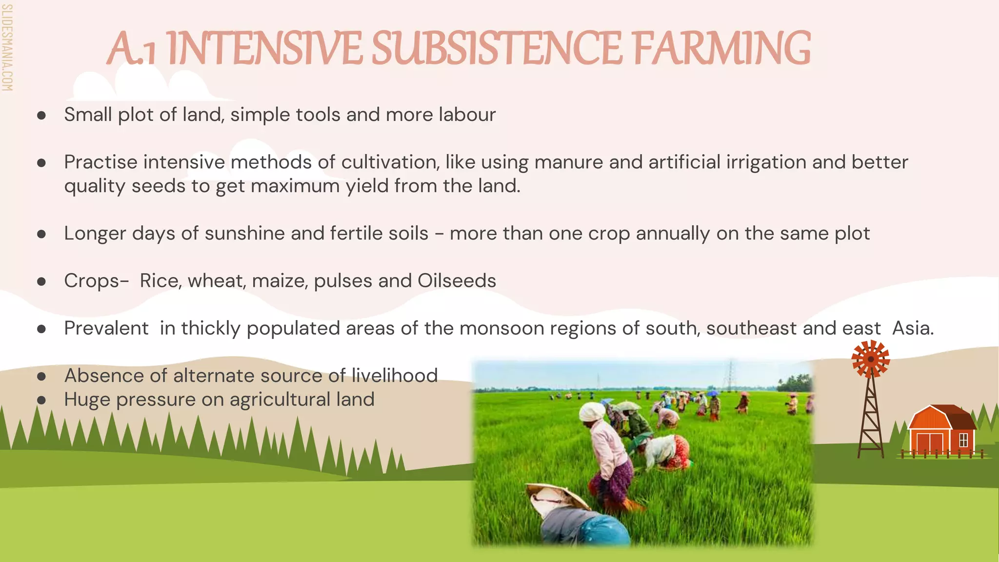 Class 8 Agriculture updated.pptx