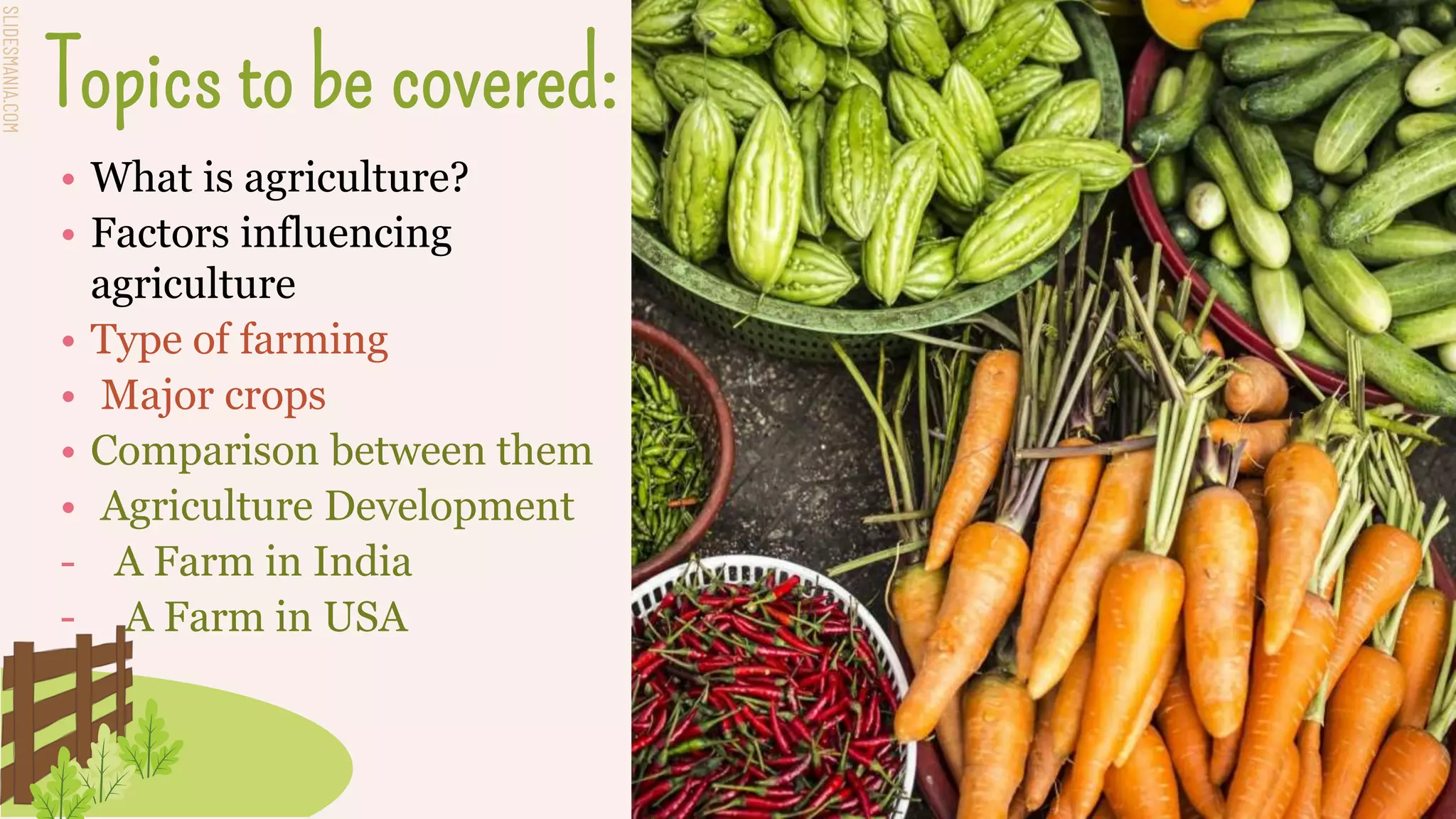 Class 8 Agriculture updated.pptx