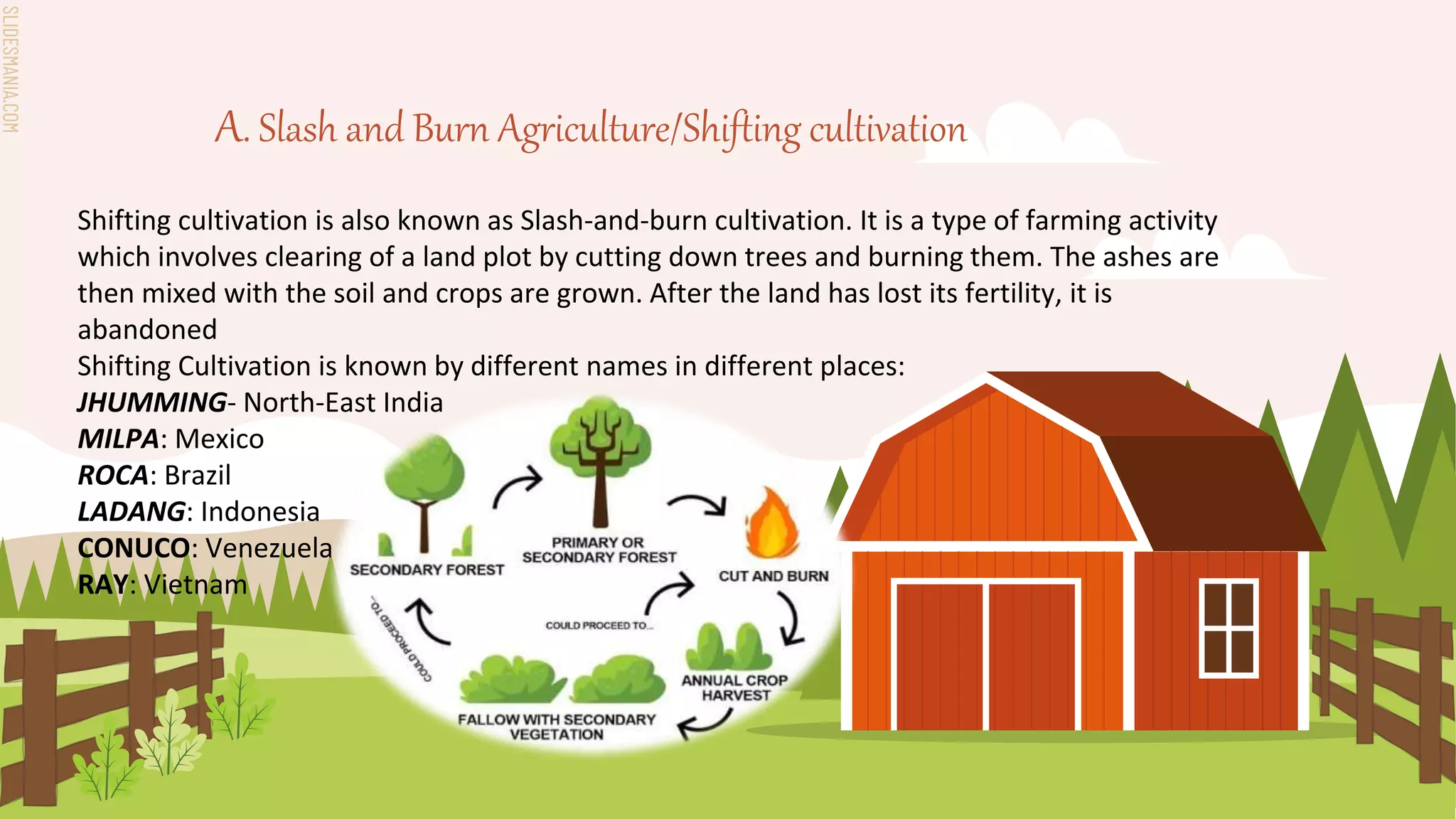 Class 8 Agriculture updated.pptx