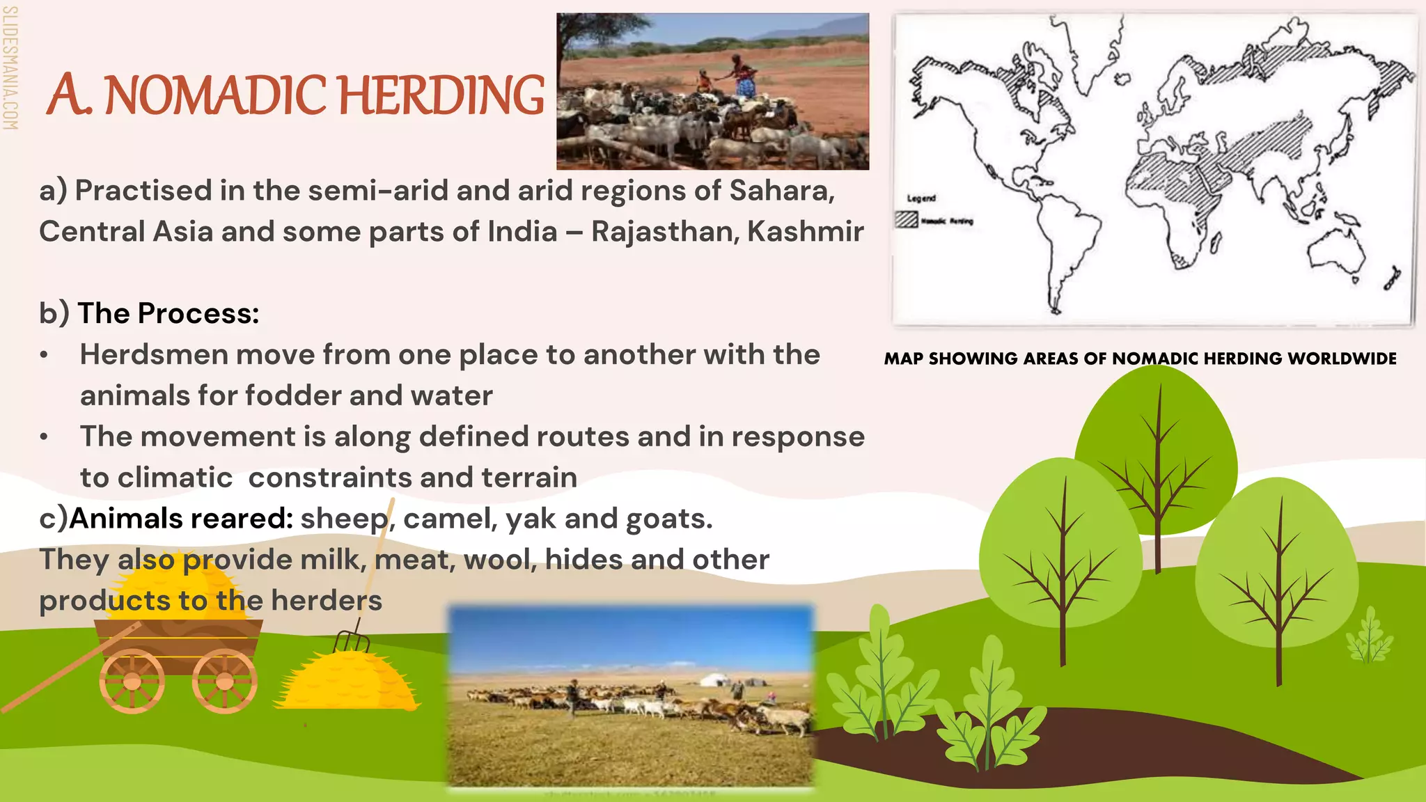 Class 8 Agriculture updated.pptx