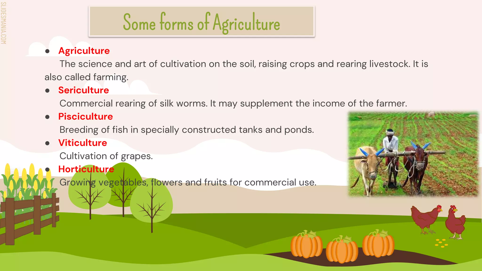 Class 8 Agriculture updated.pptx