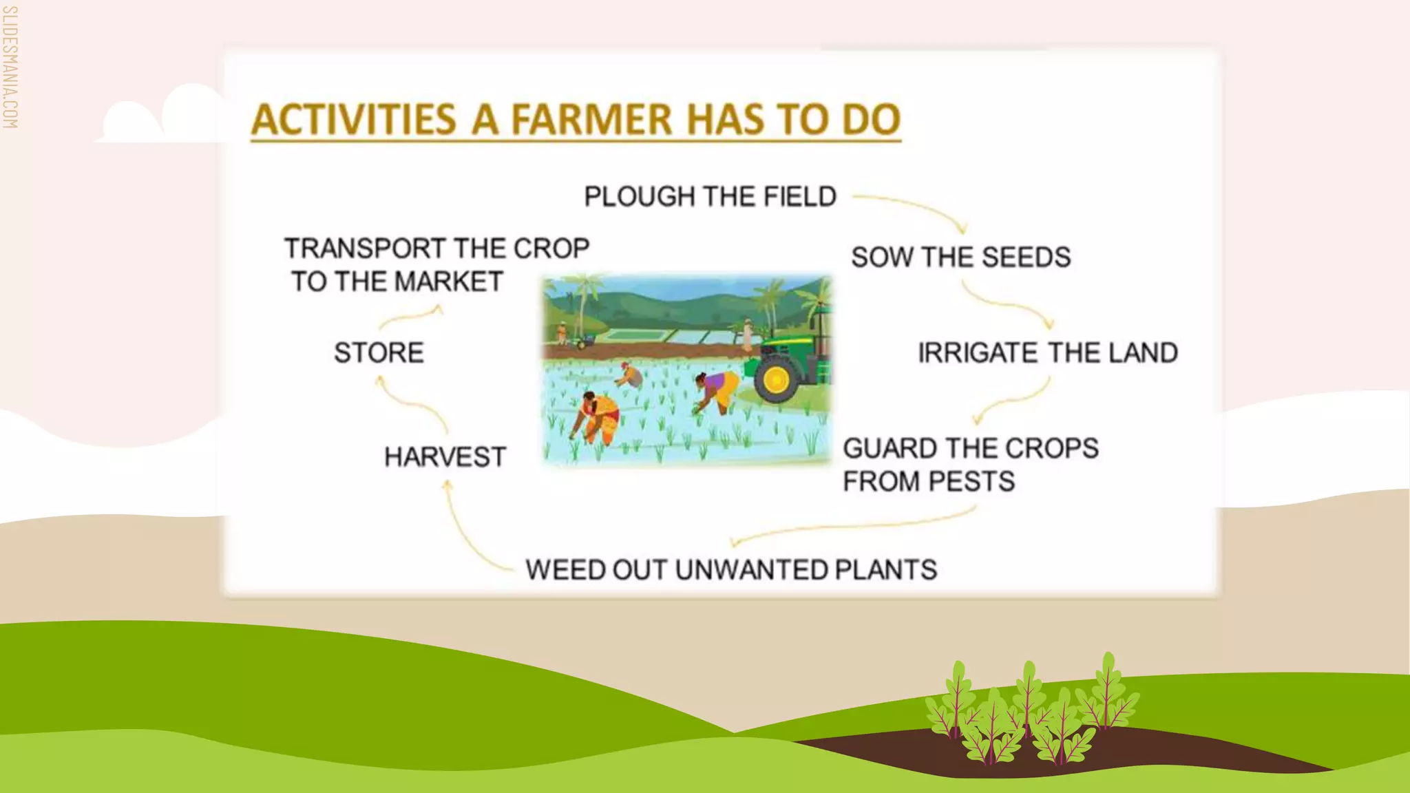 Class 8 Agriculture updated.pptx