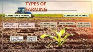 Class 8 Agriculture updated.pptx