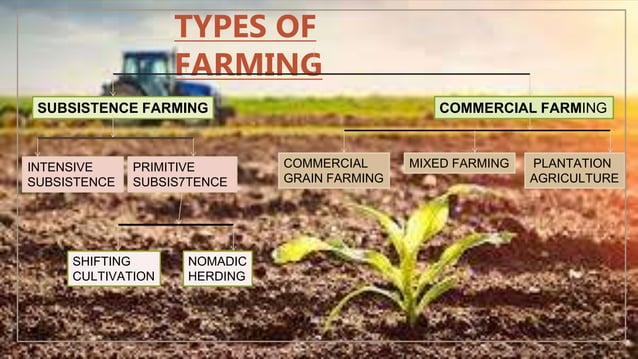 Class 8 Agriculture updated.pptx