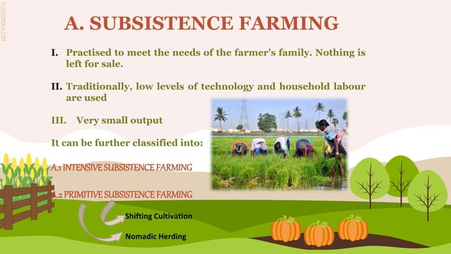 Class 8 Agriculture updated.pptx