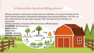 Class 8 Agriculture updated.pptx