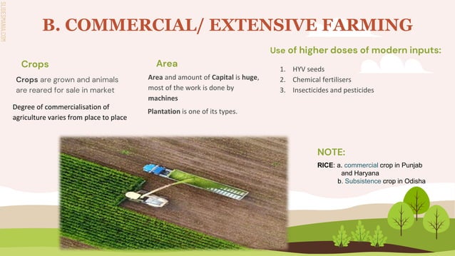 Class 8 Agriculture updated.pptx