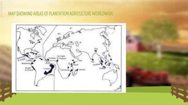 Class 8 Agriculture updated.pptx