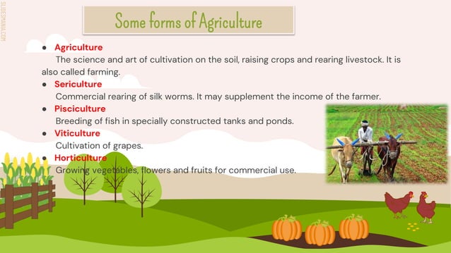 Class 8 Agriculture updated.pptx