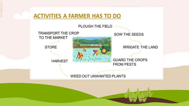 Class 8 Agriculture updated.pptx