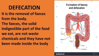 Class 8 biology lesson 1& 2 week 12 (1) | PPT