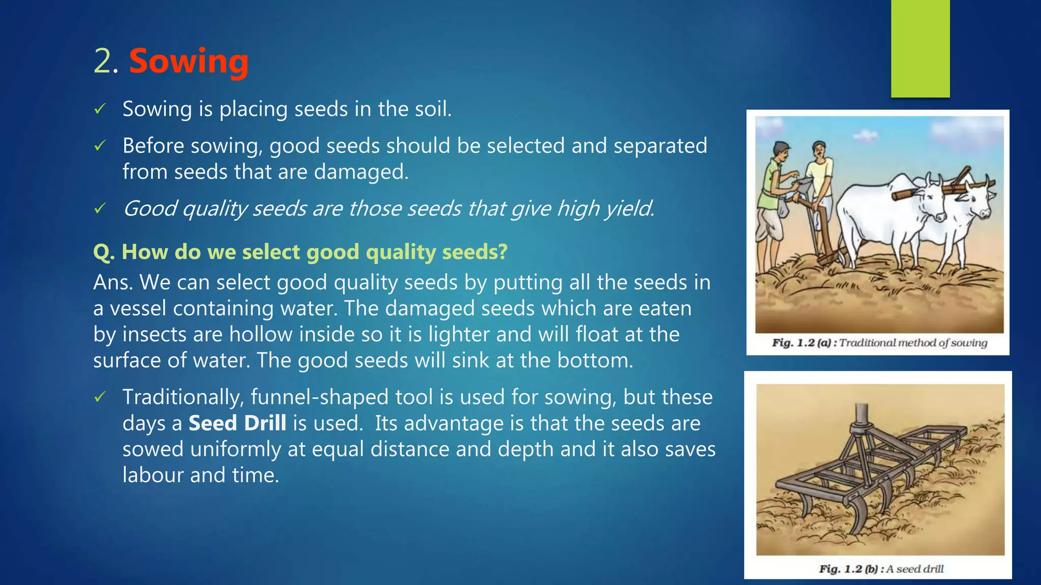 Class 8 science chapter 1 Crop Production and Management | PPTX