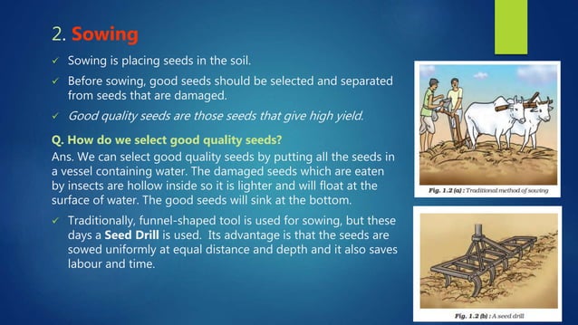 Class 8 science chapter 1 Crop Production and Management | PPTX ...