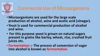 Class 8 Chapter 4 MICROORGANISMS neeta patil.pptx