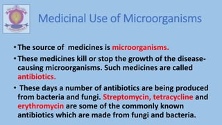 Class 8 Chapter 4 MICROORGANISMS neeta patil.pptx