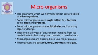 Class 8 Chapter 4 MICROORGANISMS neeta patil.pptx