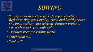 CLASS 8 CROP PRODUCTION AND MANAGEMENT.pptx