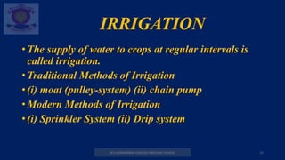 CLASS 8 CROP PRODUCTION AND MANAGEMENT.pptx