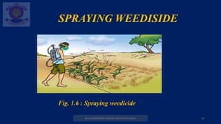 CLASS 8 CROP PRODUCTION AND MANAGEMENT.pptx