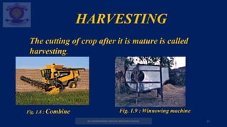 CLASS 8 CROP PRODUCTION AND MANAGEMENT.pptx