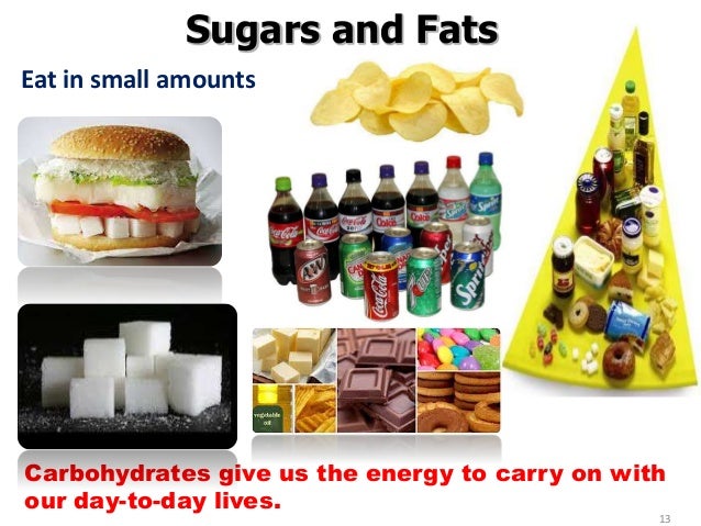 To our ancestors sugar and fat were good things | The Fact Base