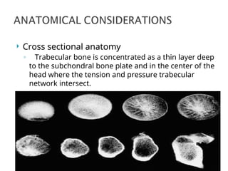 CLASS 8 FINAL. fractures of the femurppt | PPT