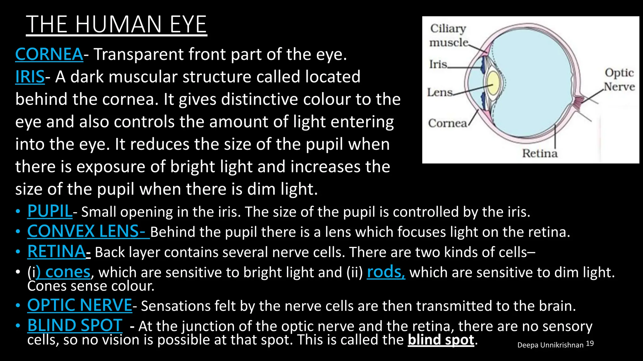 CLASS 8 LIGHT PPT.pptx