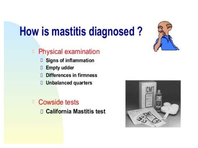 Class_8_Mastitis_.pptx