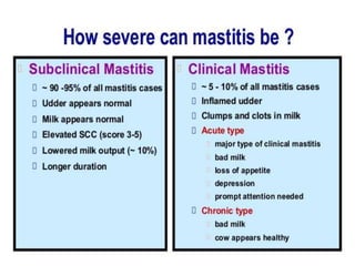 Class_8_Mastitis_.pptx | Medical Health