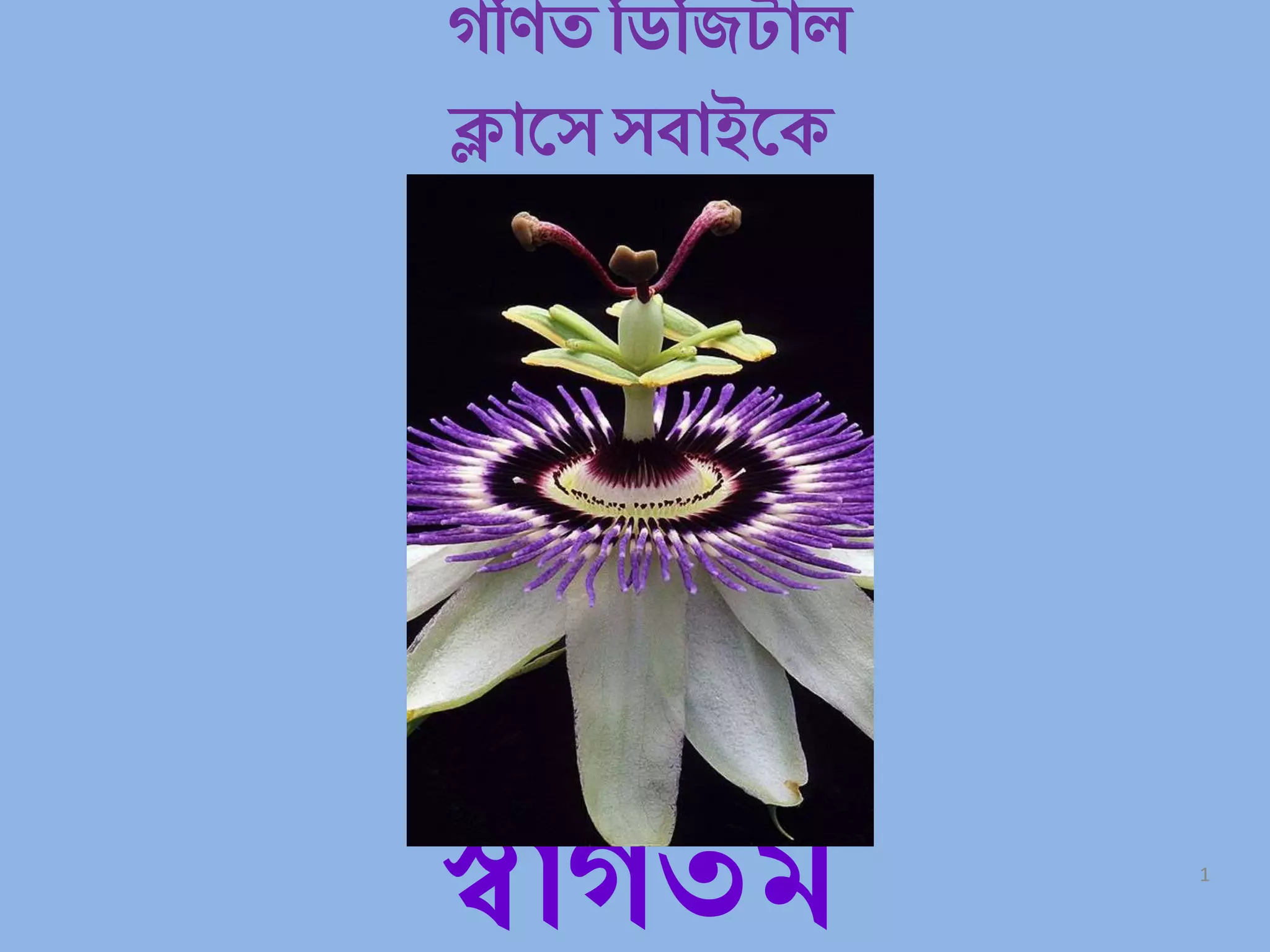 Class 8 math lesson 3 (geometry) | PPT