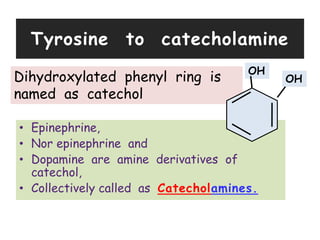 Class 8 metabolism of phenyl alanine | PPTX | Endocrine and Metabolic ...