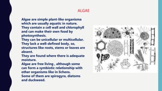 Class 8 microorganisms at 1pm 16th april | PPTX