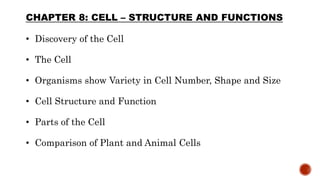 Class 8 science.pptx