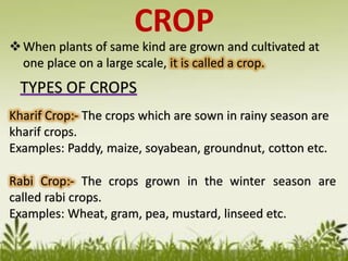 Class 8 science ch- 1 crop production and management | PDF