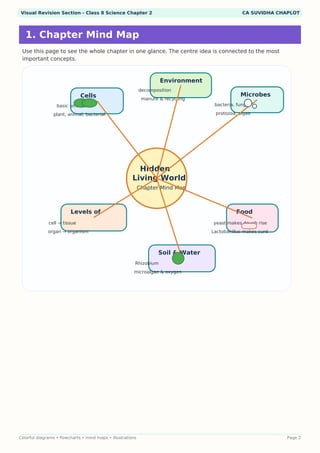 Class 8 Science Chapter 2 Visual Notes PDF | Colorful Infographics ...