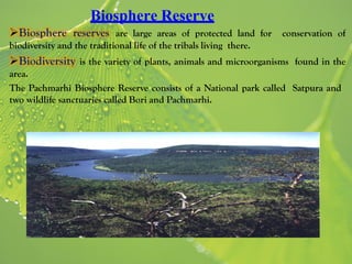 Class 8 science ch 7 conservation of plants and animals | PDF