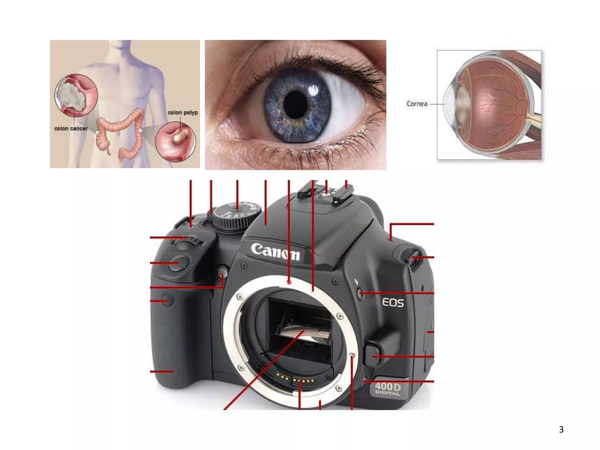 Class 8 science chapter 11 lesson 2 | PPT