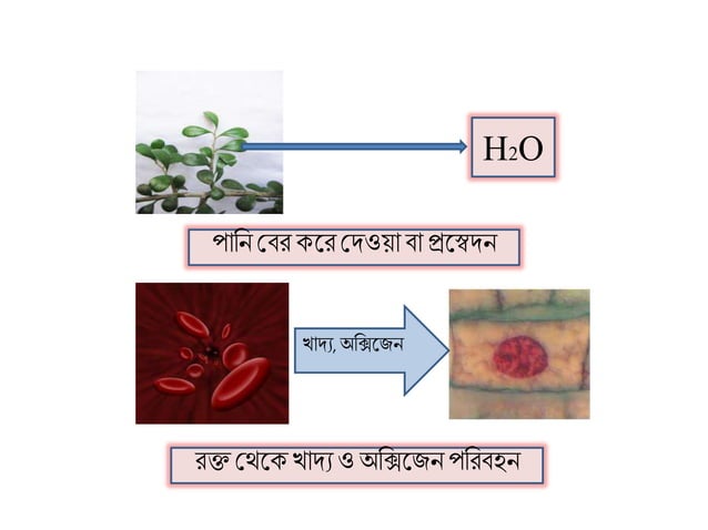 Class 8 science chapter 3 class 1 | PPTX