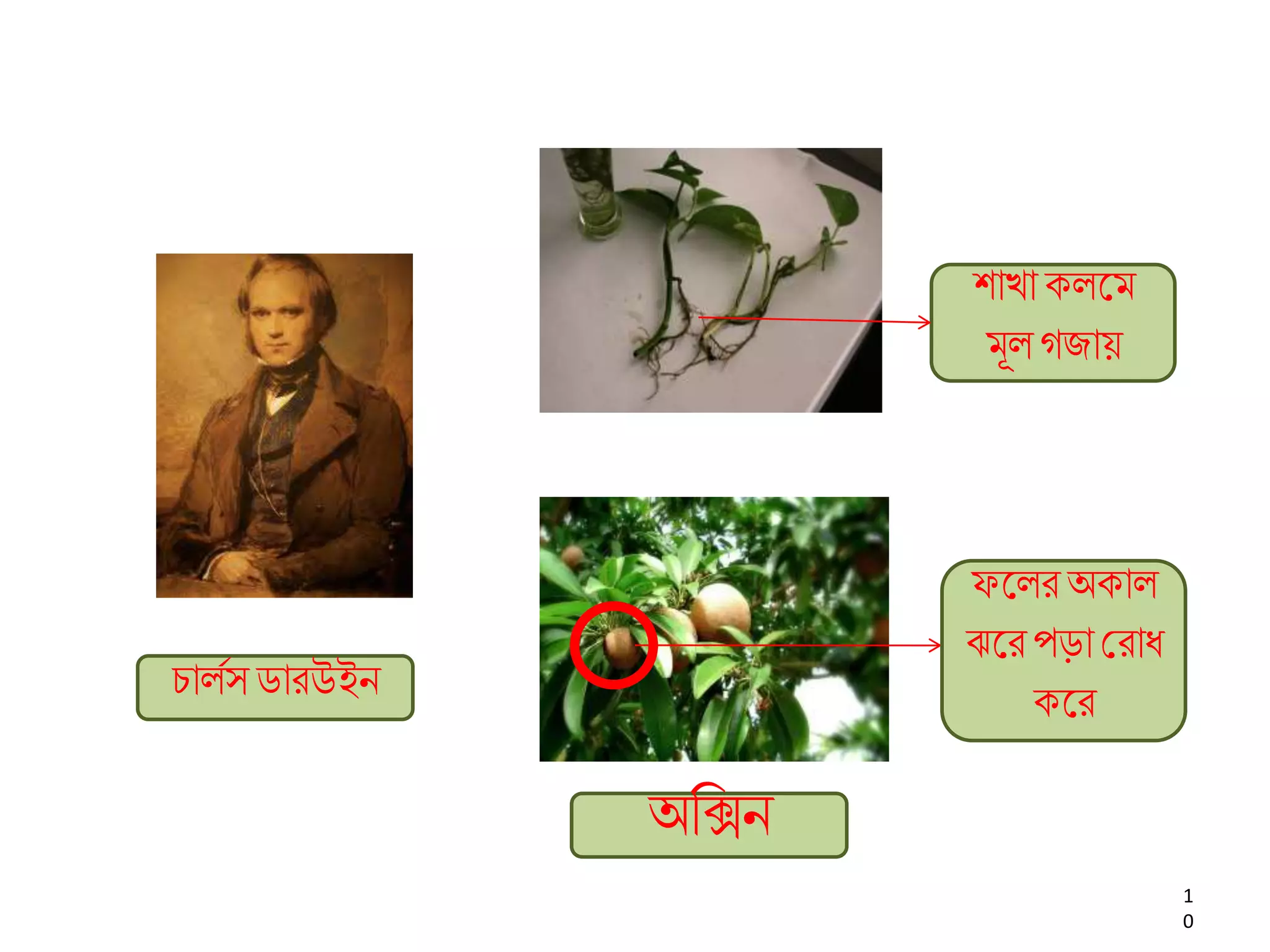 Class 8 science chapter 5 lesson 1 | PPT